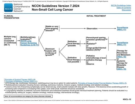 Nccn Clinical Practice Guideline In Oncology Pdf Lung And Respiratory Health Diseases And