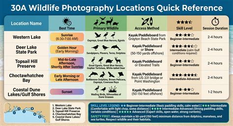 Top 5 Wildlife Shots On 30a Waters