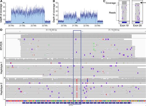 Targeted Long Read Sequencing T Lrs Was Used To Identify Missing