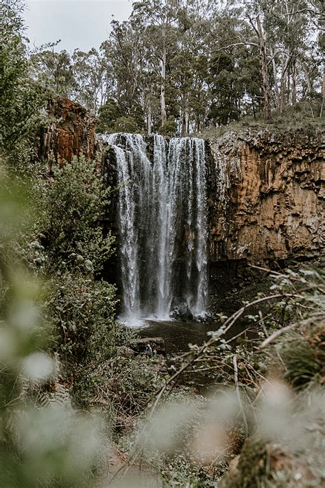 Trentham Falls Riparide