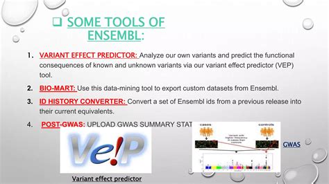Role Of Ensembl In Genome Browsing Ppt