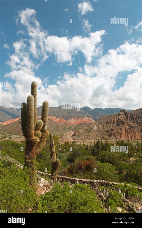 Humahuaca Canyon Quebrada De Humahuaca Jujuy Province Argentina
