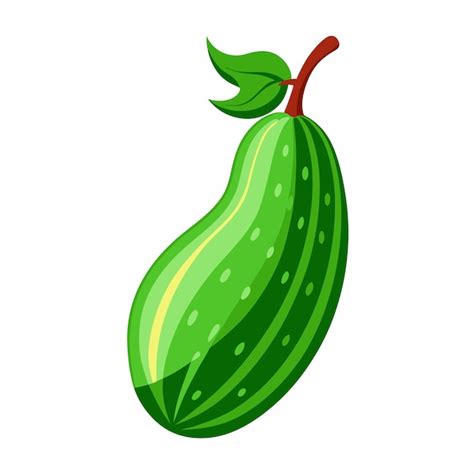 Ivy Gourd Scarlet Gourd Vector Premium Ai Generated Vector
