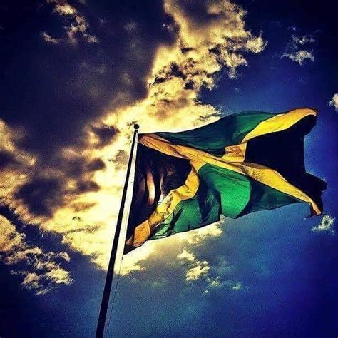 Shawn Markland On Linkedin Happy Independence Day