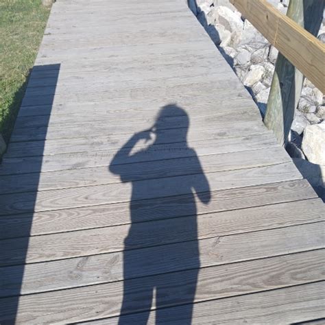 Adybug Nelson Youtube