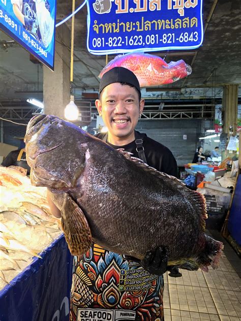 ปปลาชุม ปลาหมอทะเลไซส์นี้ไม่ได้มีให้เห็นกันบ่อย ๆ 🐟 21 กิโลเต็มมือ ตัวใหญ่ ทรงสวย หนังตึง