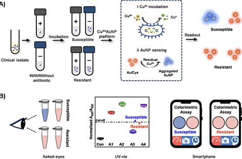Metabolism Triggered Plasmonic Nanosensor For B