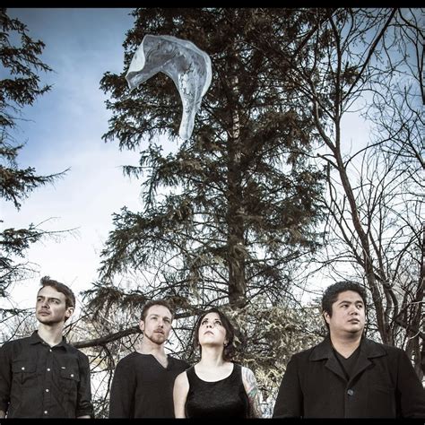 Implicate Order Youtube