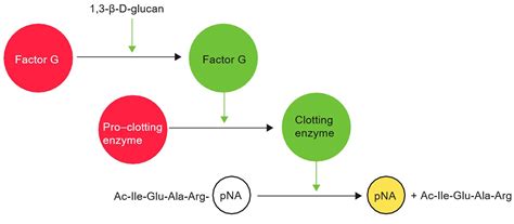 Overview Of Endotoxin Testing Methods Thermo Fisher Scientific US