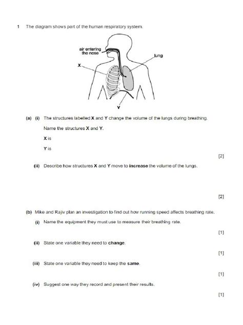 Myp Science Mock 21 Ar Pdf