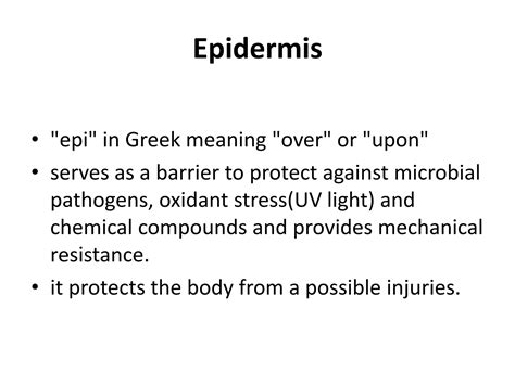 Epidermis Report3 Pptx