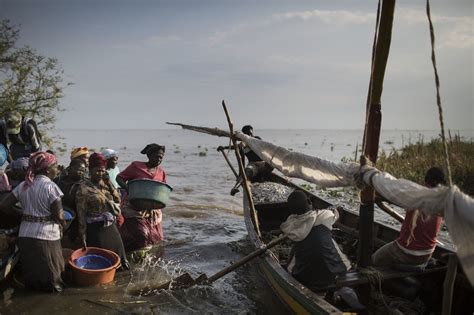 Mosquito Nets For Malaria Prevention At Nathan Ronk Blog