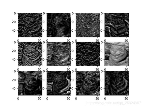 Pytorch网络可视化 查看每层网络的特征图如何查看pytorchunet模型中间输出的特征图 Csdn博客