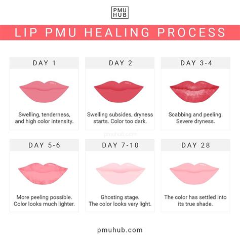 Lip Blush Healing Process Day By Day Timeline And Stages Lip