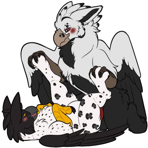 Rule 34 Avian Balls Beak Blush Duo Feathered Wings Feathers Feet Feral Genitals Gryphon