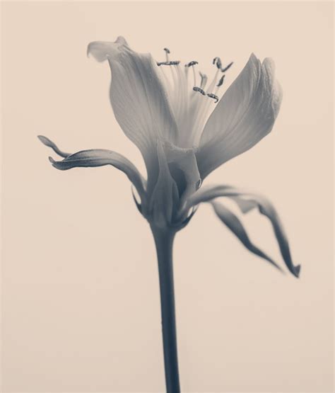 Ai Research Engineer Computer Vision Helsing