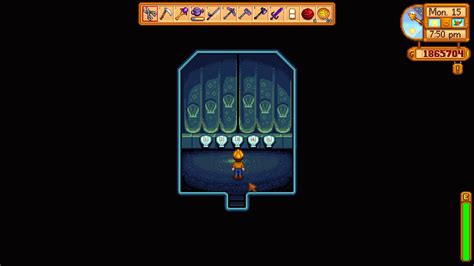 Discover The Secrets Of Stardew Valley With Secret Notes Hold To Reset