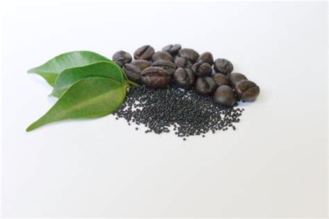 Powering Green Chemistry With Microspheres And Microcapsules Microspheres Microcapsules