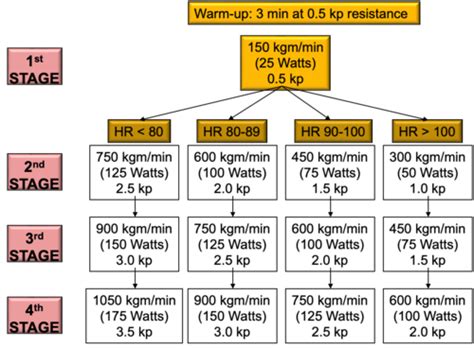Submaximal Oxygen Uptake Vo2 Testing Flashcards Quizlet