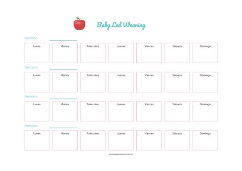Alimentación Complementaria Menú Esp Pdf
