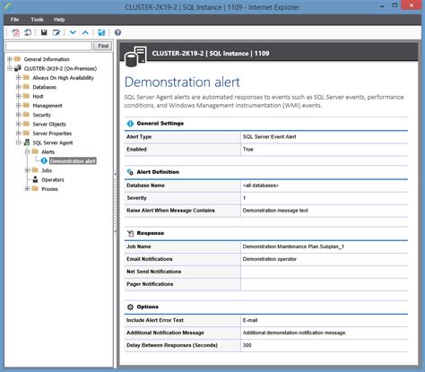 Microsoft Sql Server System Supported