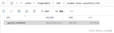 python使用timm创建模型时报错：connection error and we cannot find the requested
