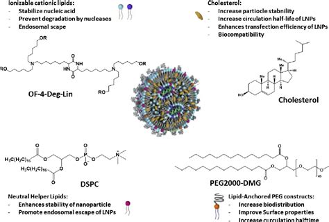 Figure 3 From An Overview Of The Use Of Nanoparticles In Vaccine