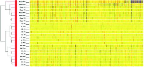 Hierarchical Clustering Of Gene Expression Profiles Revealed Three