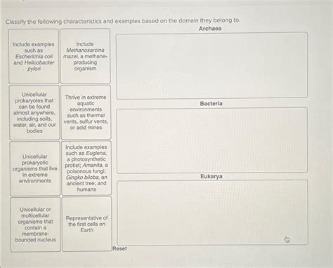 Solved Classify the following characteristics and examples | Chegg.com