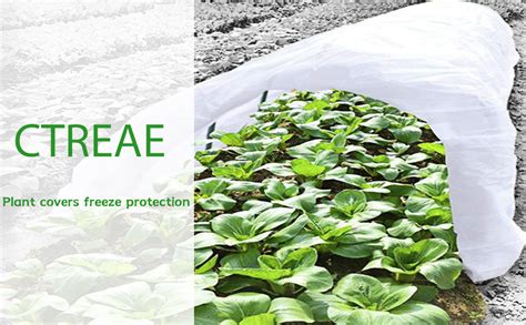 Ctreae Plant Covers Freeze Protection 10 Ft X 33 Ft 1 1oz