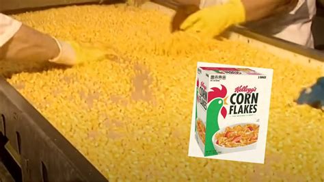 How Corn Flakes Cereals Are Made Corn Flake Facility Tour Youtube