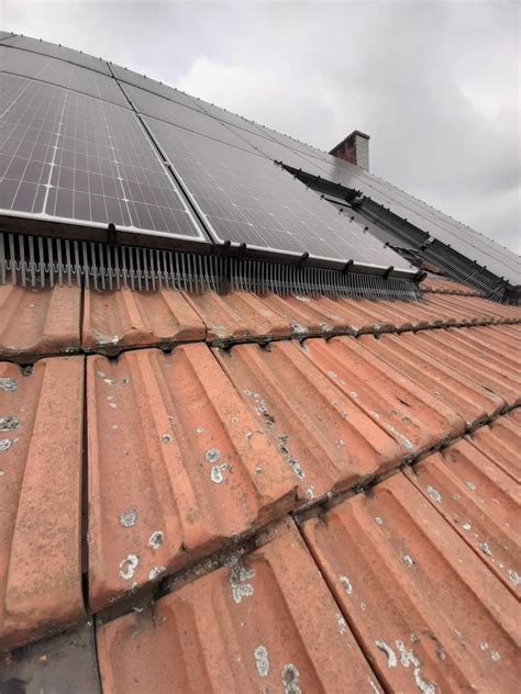 Duiven En Kraaien Onder Zonnepanelen