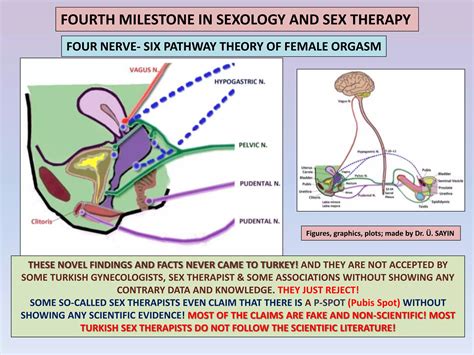 The Limits Of Female Sexual Response PPTX Sexual Conditions Sexual Health