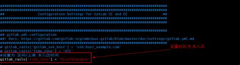 git学习 ＞gitlab如何修改时区？ gitlab设置时区 csdn博客