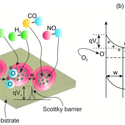 Pore Classification By The Iupac According To The Size Download Table