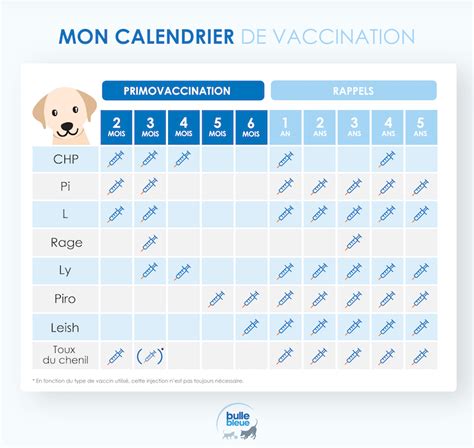 Les Vaccins Sont Ils Obligatoire Pour Le Chien Bulle Bleue