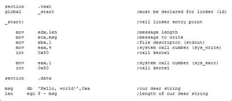 혼공컴운 3장 명령어