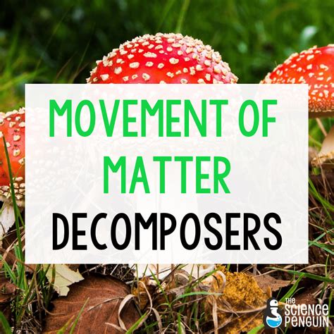 Decomposer Science