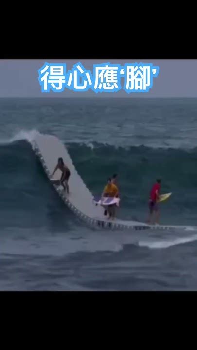 夏日衝浪 衝浪 Surf Surfboards 衝浪步道 Youtube