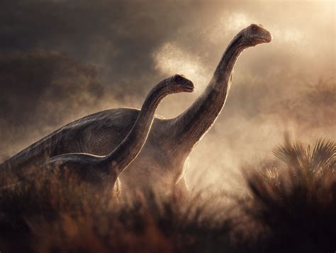 The Long Neck Dinosaur Debate Brachiosaurus Vs Diplodocus Real