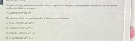 Solved The Gene Encoding A Protein Involved In Cell Cycle Chegg Com