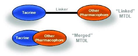 Tacrine Based Multitarget Directed Ligand Mtdls Can Be Classified As Download Scientific