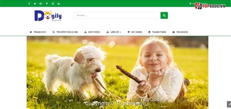 Website Bán Thú Cưng Bằng Nodejs Express Csdl Mongodb Full Database Báo Cáo Hỗ Trợ Cài
