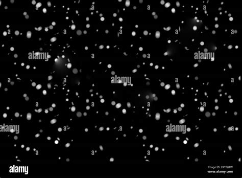 Snowflakes Falling Down On Black Background Heavy Snow Flakes Isolated Flying Rain Overlay