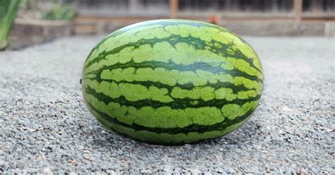 Introducing The Model Optimization Toolkit For Tensorflow — The