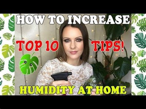 TOP TIPS On How To Increase The HUMIDITY In Your Home YouTube Grass Edging Plant Labels