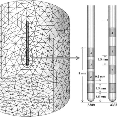 Schematic Diagram Of The 3d Finite Element Model Geometry And Mesh