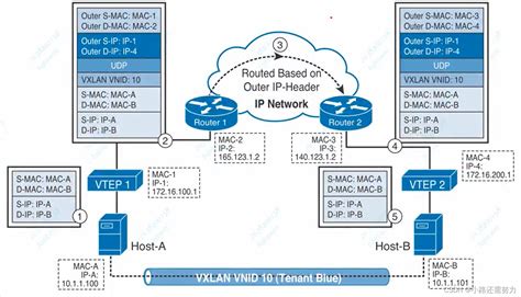 vxlan基本概念 vxlan 协议号 csdn博客