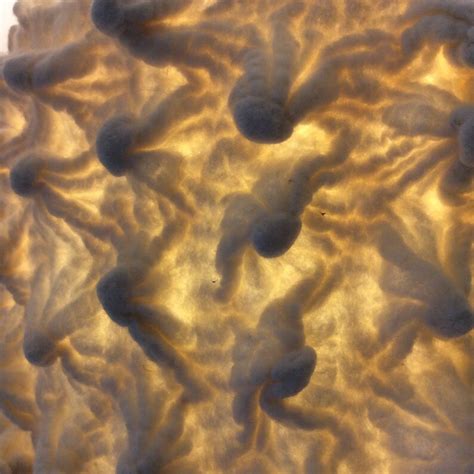 Spike Caterpillar Lampshade Hand Felted Textured Shade Modern Design