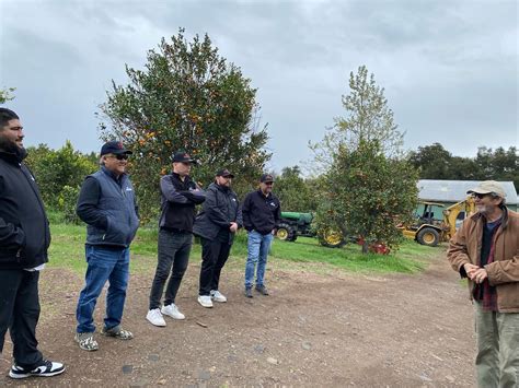 Ojai Ojai Pixie Grower Aka The Tangerineman Chatting With Ojai Pixie Buyers Today
